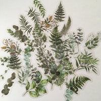 Nature Stickers - Etsy