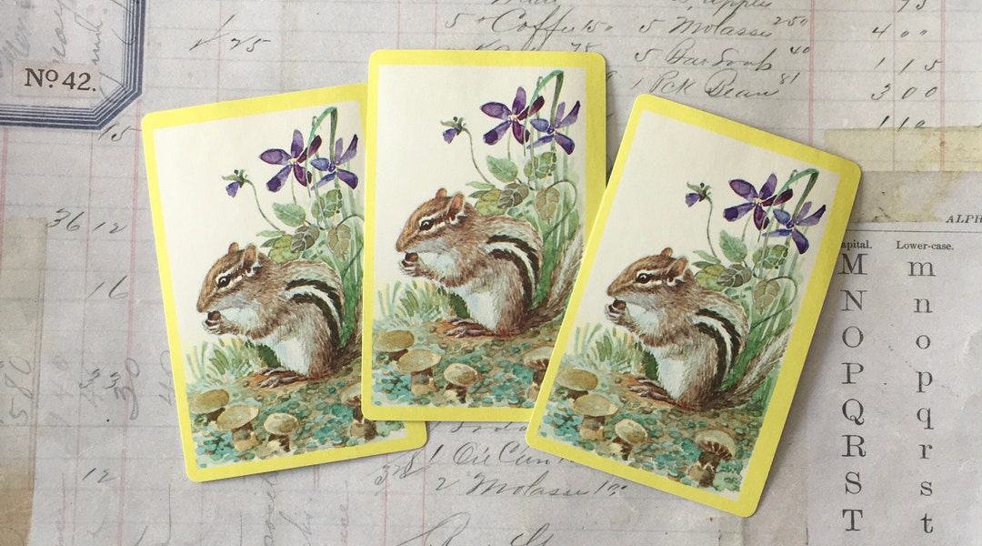 Chipmunk Cards / 3 Vintage Cute Woodland Animal Squirrel Chipmunk ...