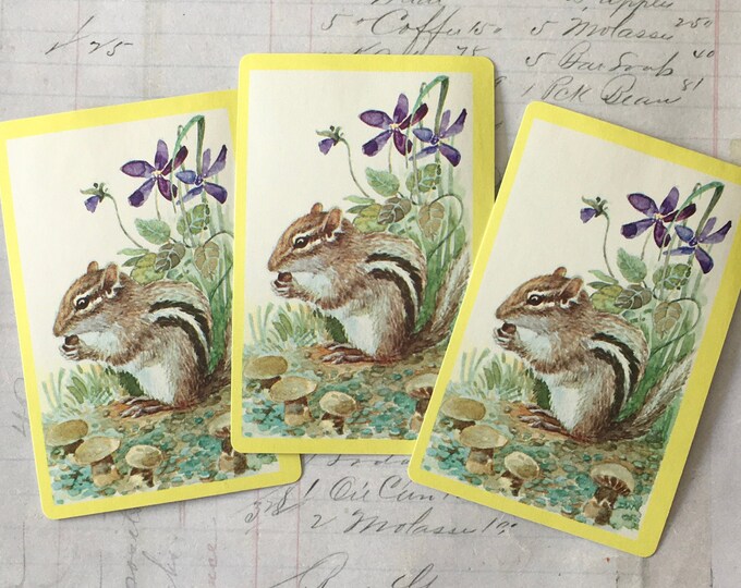Chipmunk Cards / 3 Vintage Cute Woodland Animal Squirrel Chipmunk ...