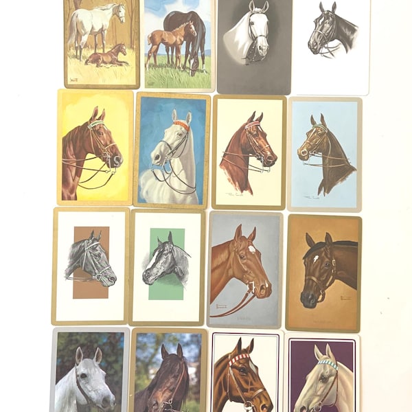 Postcard Lot Horses - Etsy