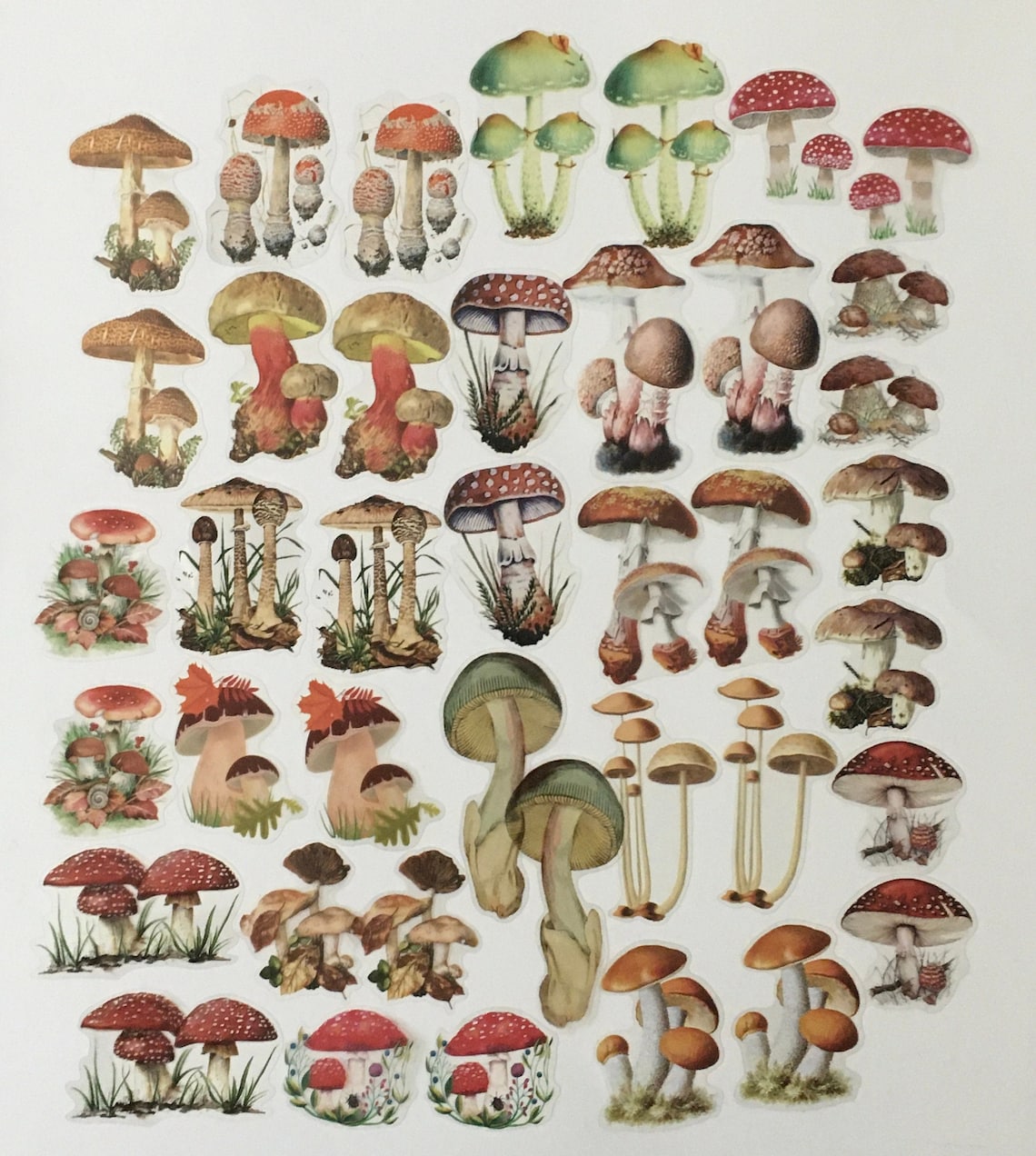 MUSHROOM Stickers / 40 Mushroom Die Cut Stickers Vinyl - Etsy