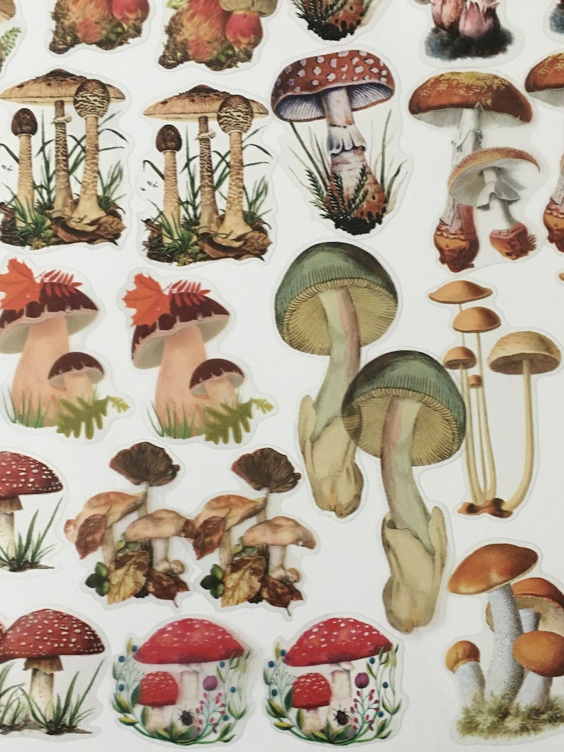 MUSHROOM Stickers / 40 Mushroom Die Cut Stickers Vinyl - Etsy