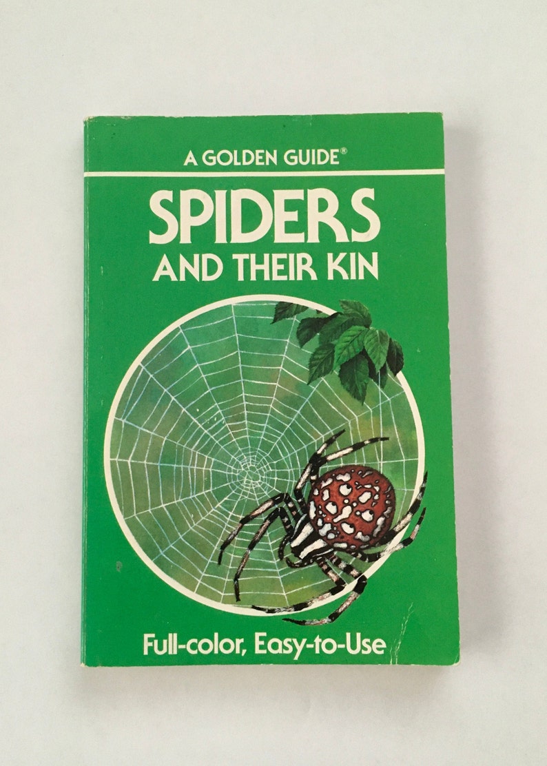 SPIDERS Book / Vintage Golden Guide SPIDERS in Full Color - Etsy