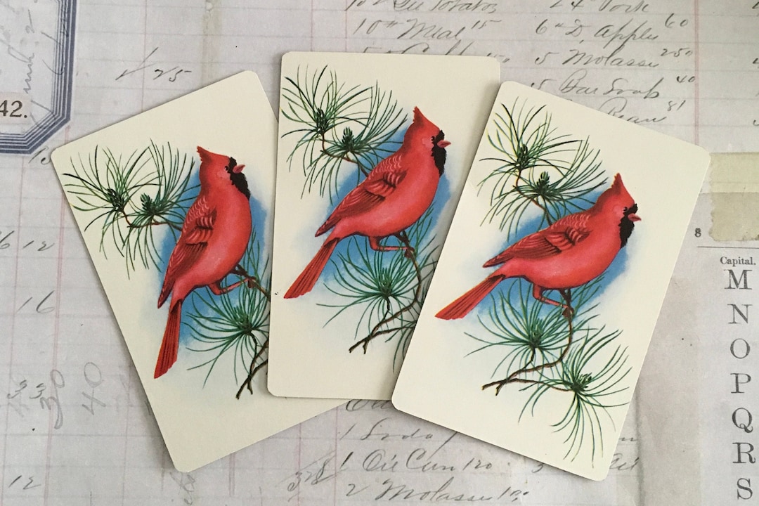 Cardinal Cards / 3 Vintage Red Cardinal Playing Cards Great for ...