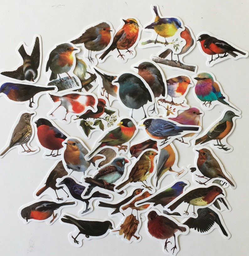 BIRD Stickers / 40 Bird Stickers Scrap Pieces Great for - Etsy