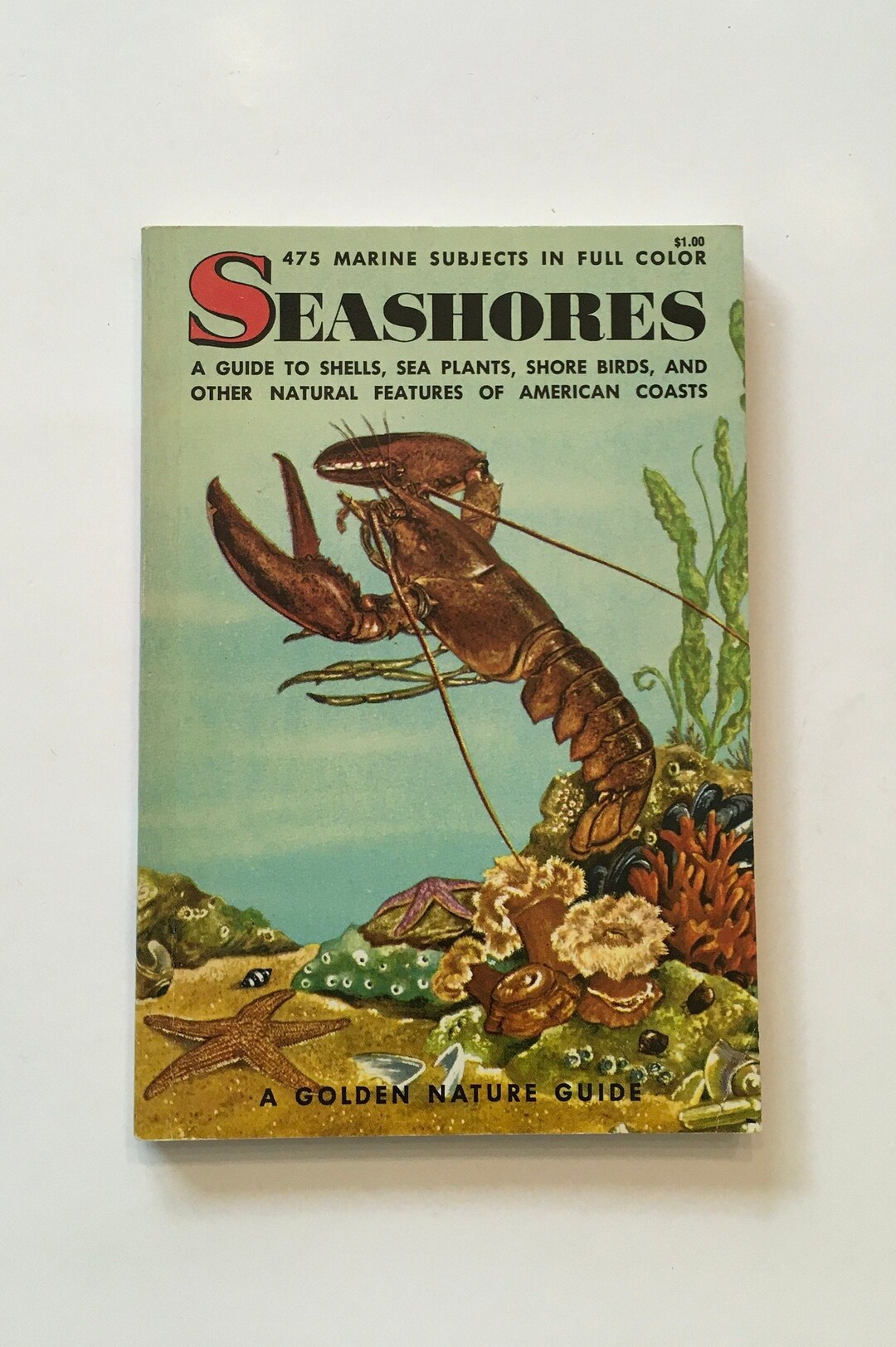 SEASHORES / Vintage Golden Guide SEASHORES Guide to Shells - Etsy