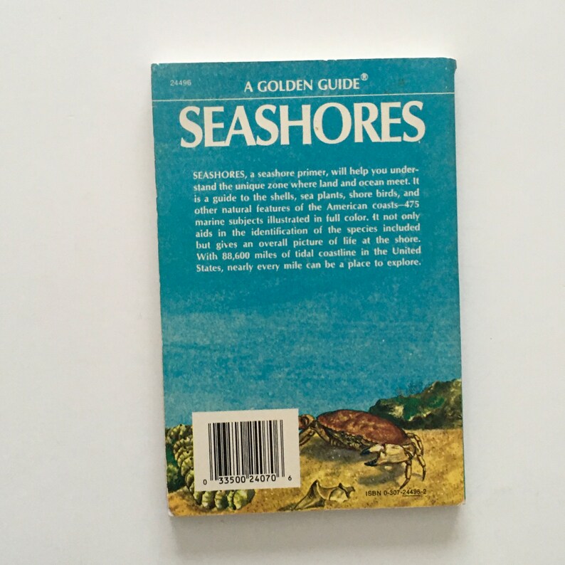 SEASHORES Book / Vintage Golden Guide SEASHORES Guide to - Etsy