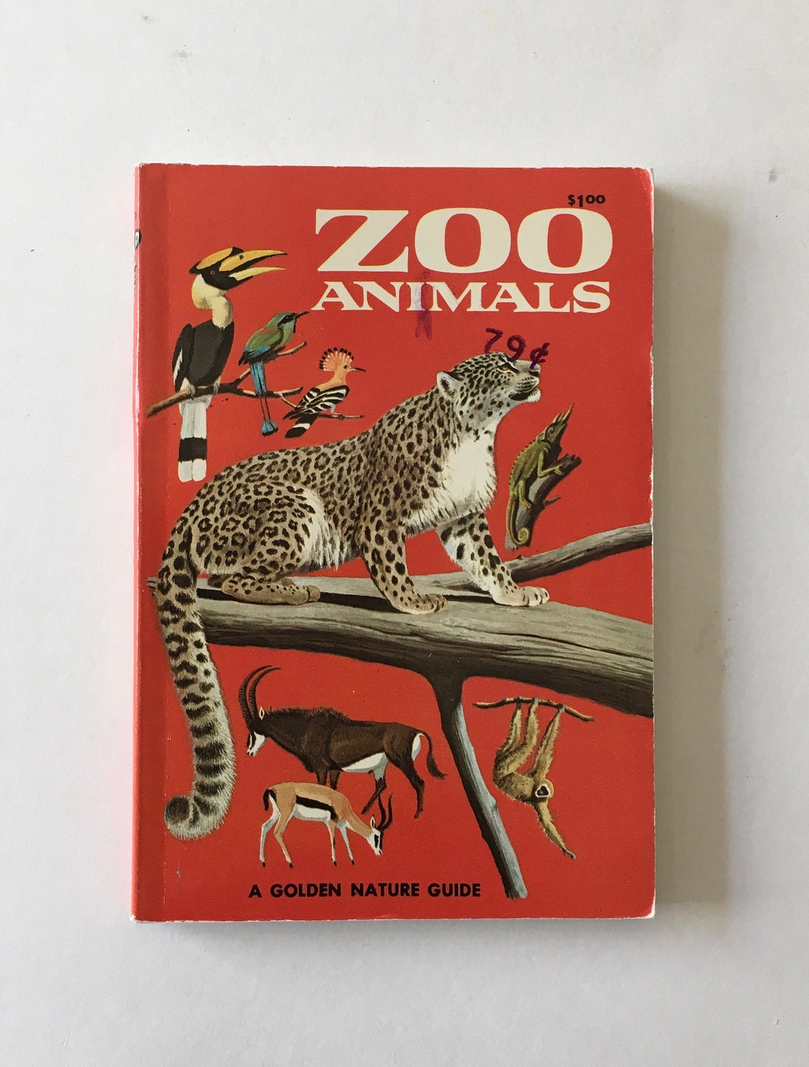 Animal Book / Vintage ZOO Animals Golden NATURE Guide 24019 - Etsy