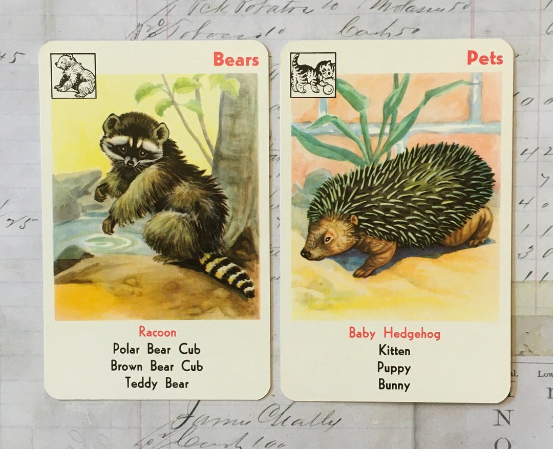 Animal Flashcards / 2 Children's RACCOON and HEDGEHOG - Etsy