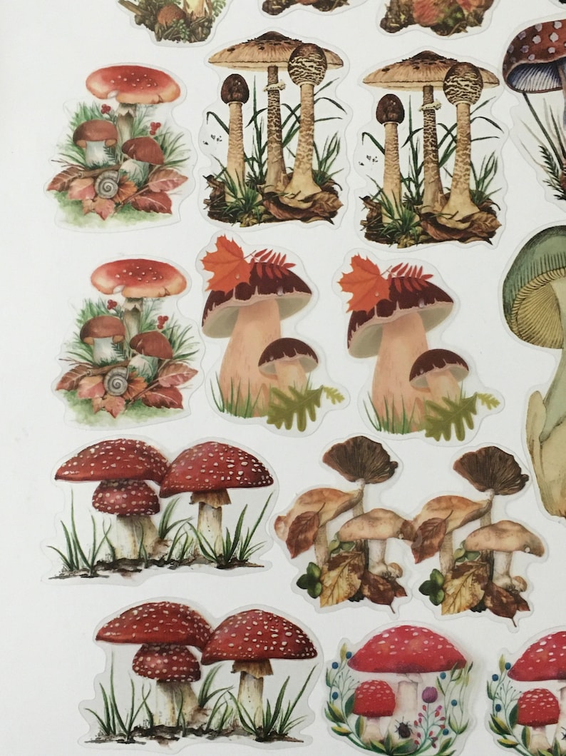 MUSHROOM Stickers / 40 Mushroom Die Cut Stickers Vinyl - Etsy
