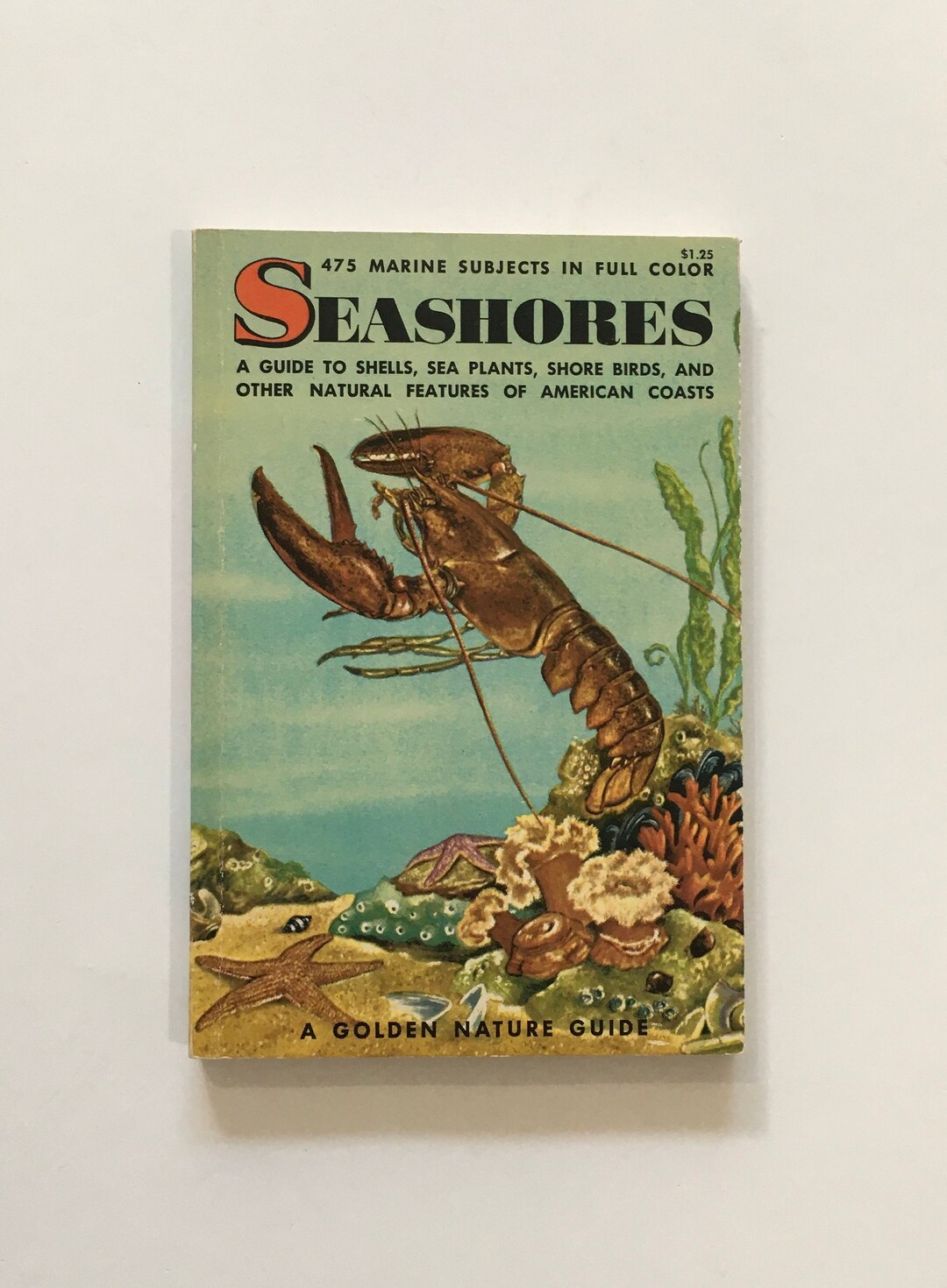 SEASHORES / Vintage Golden Guide SEASHORES Guide to Shells, Sea Plants ...