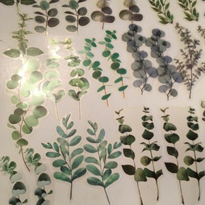 Sticker Pack / 40 Pc. Vintage Style Leaves & Stems Stickers Inspiration ...
