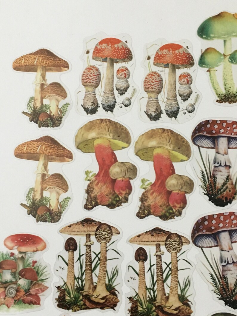 MUSHROOM Stickers / 40 Mushroom Die Cut Stickers Vinyl - Etsy