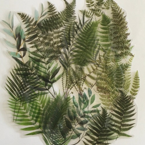 Sticker Pack / 40 Pc. Vintage Style Leaves & Stems Stickers - Etsy