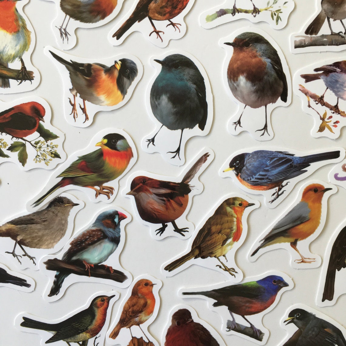 BIRD Stickers / 40 Bird stickers Scrap Pieces great for - Etsy 日本