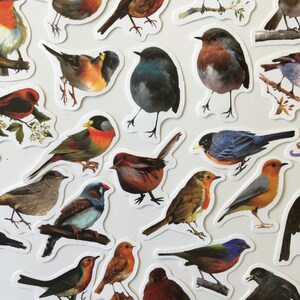 BIRD Stickers / 40 Bird Stickers Scrap Pieces Great for Altered Art ...