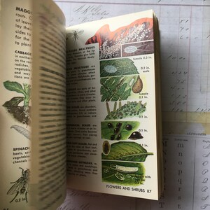 INSECTS Book / Vintage Golden NATURE Guide Insect Pests 24016 | Etsy