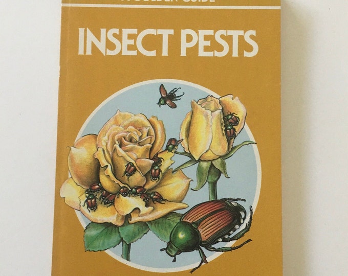 INSECTS Book / Vintage Golden NATURE Guide Insect Pests 24016 Full ...