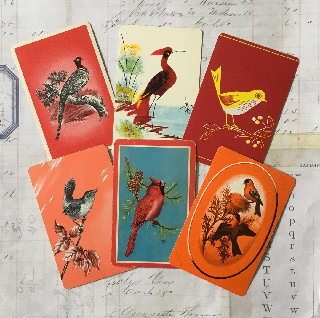 Bird Cards / 6 Vintage BIRD Playing Cards Assorted Mix Great - Etsy