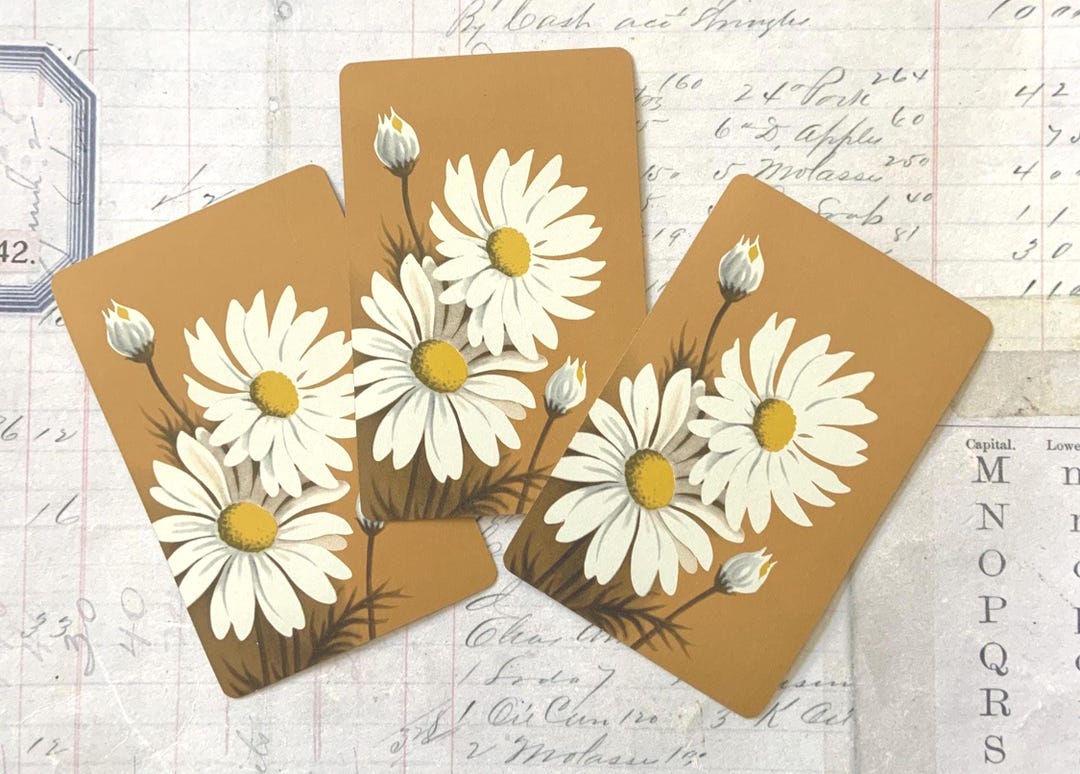 DAISY Cards / 3 Vintage Retro DAISY Swap Cards -- Great Ephemera for ...