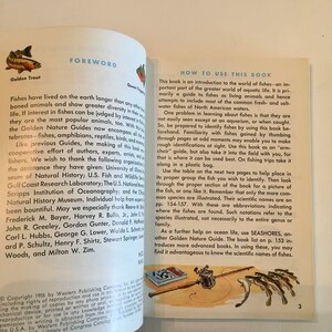 FISHES Book / Vintage FISHES Golden Nature Guide 278 Species in Full ...