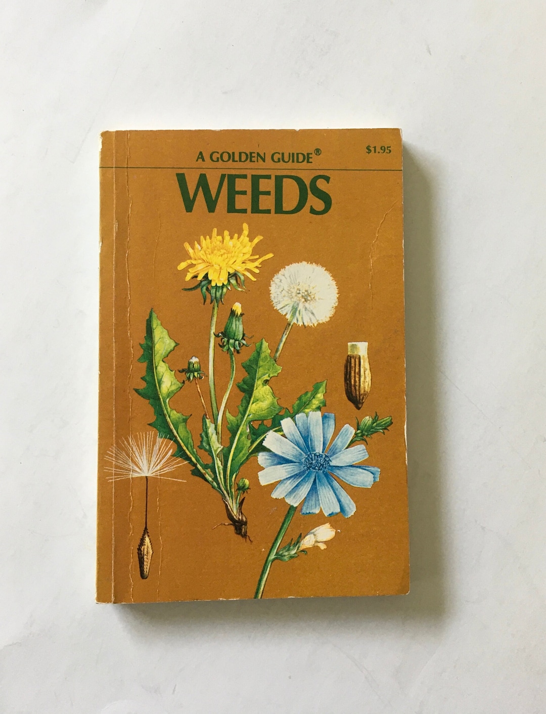 WEEDS Book / Vintage Golden Guide WEEDS W/ Illustrations in - Etsy