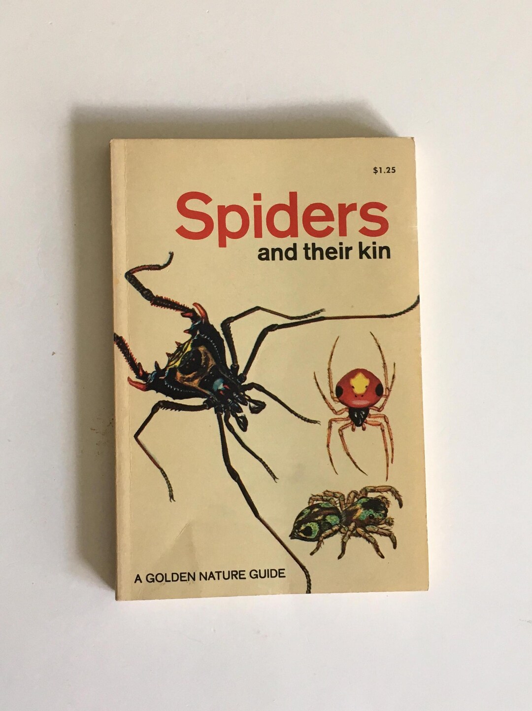 SPIDERS Book / Vintage Golden Guide SPIDERS in Full Color Illustrations ...