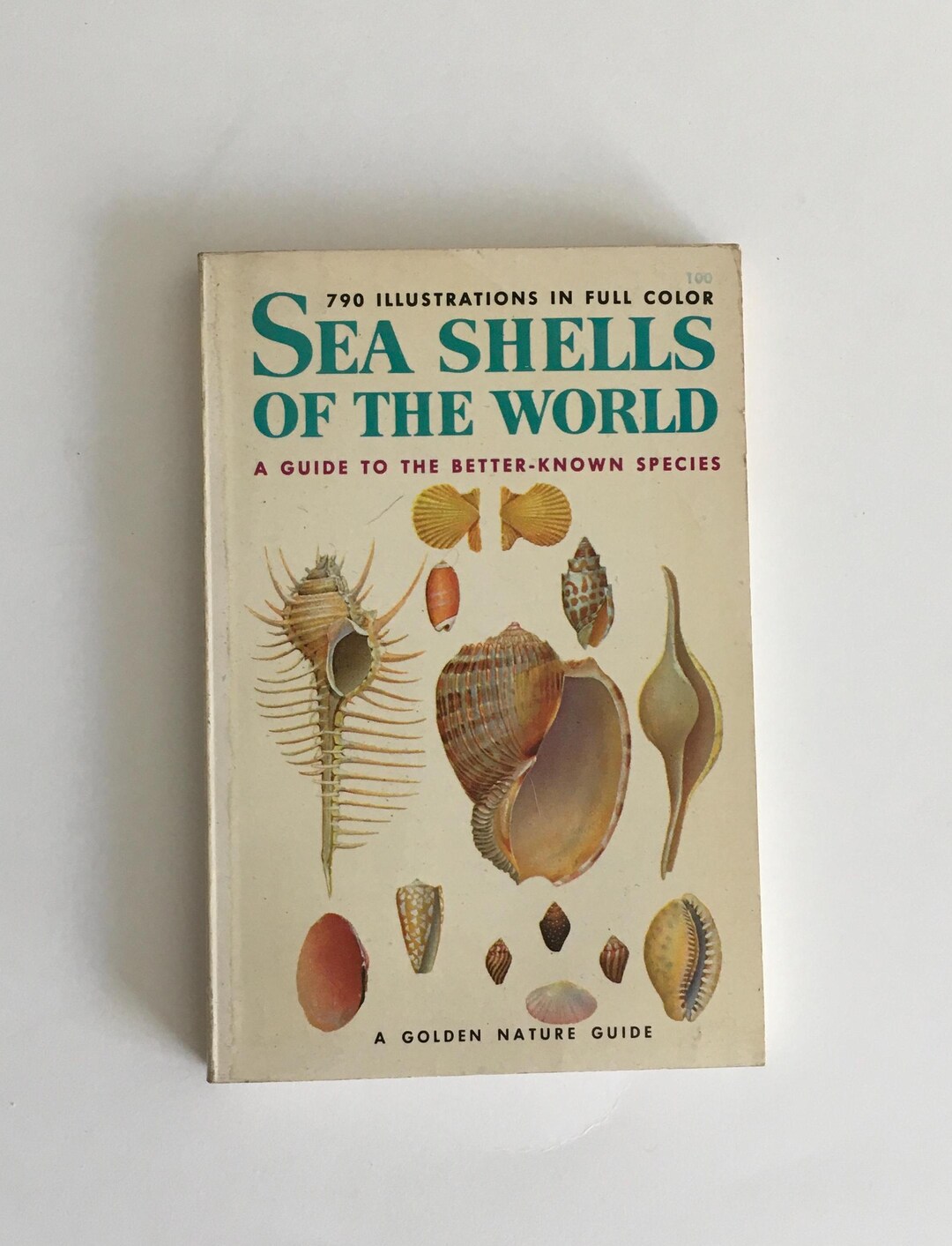 Golden Guide / Vintage SEASHELLS of the World A Golden Guide Paperback ...