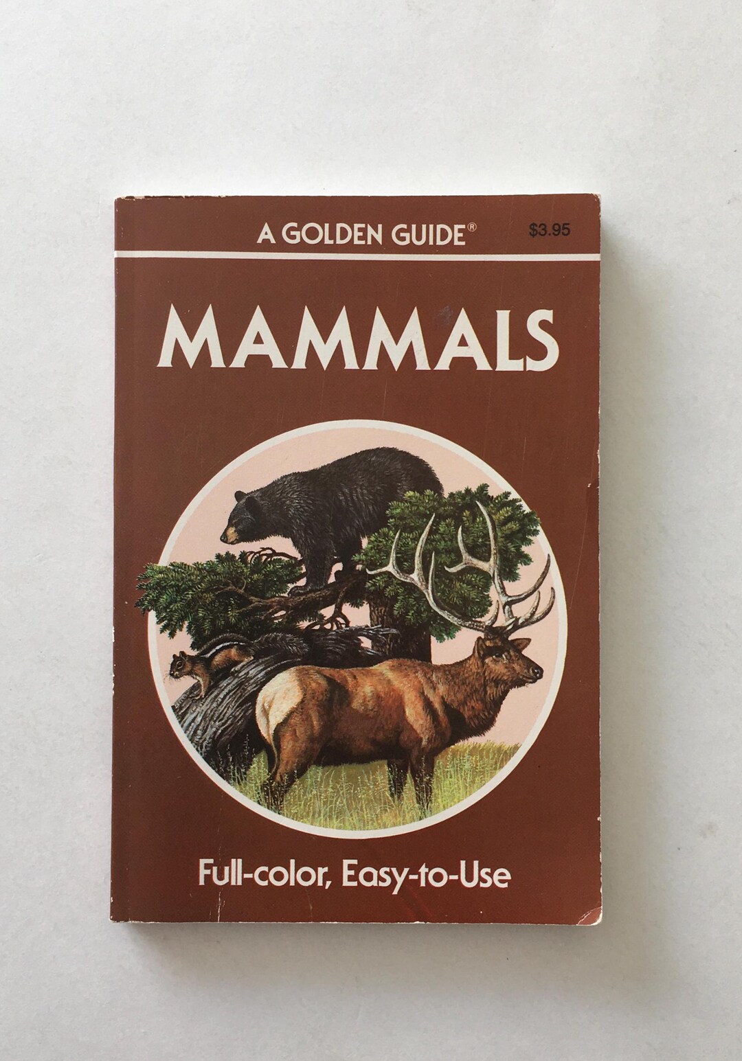 Mammals Book / Vintage MAMMALS Golden NATURE Guide #24497 W/color ...