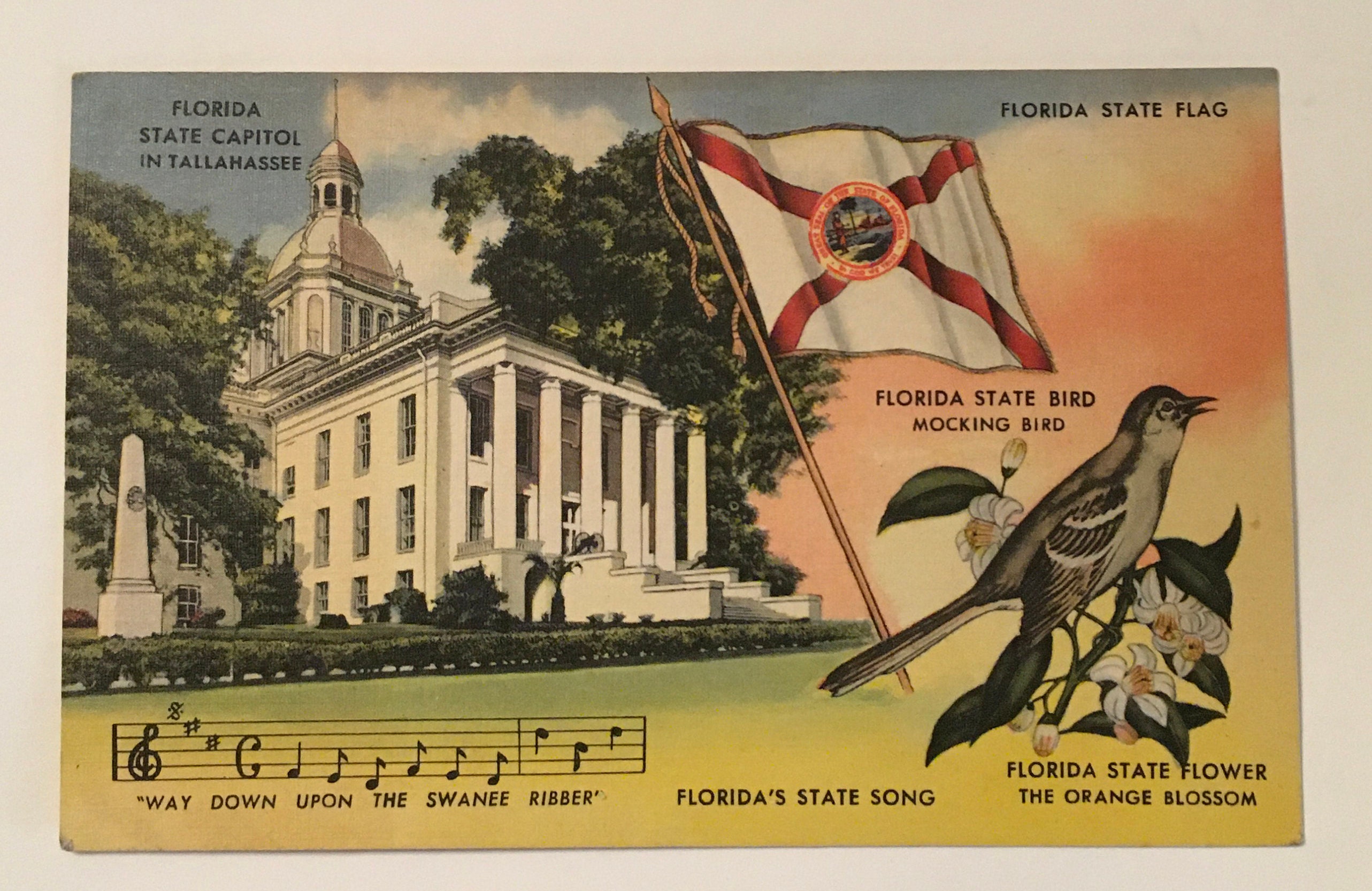 Florida Postcard Vintage Florida Postcard Linen State Etsy