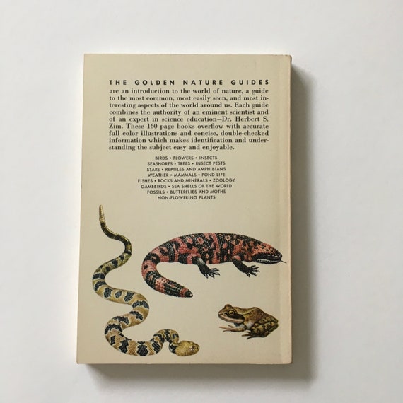 Reptiles And Amphibians Book