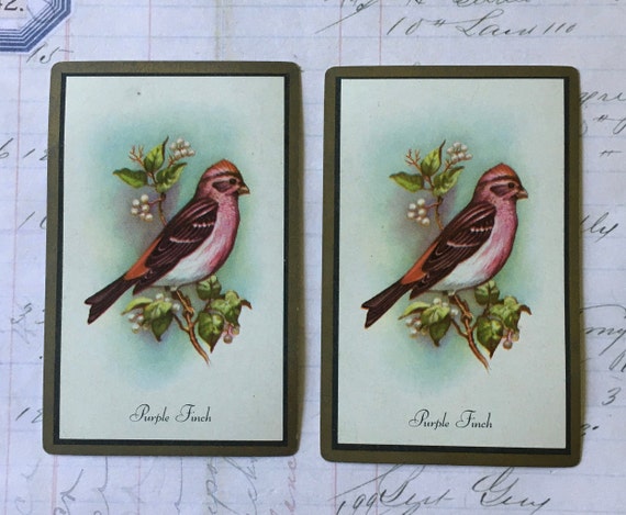Bird Swap CARDS / 2 Vintage Bird Cards / Purple Finch Cards | Etsy