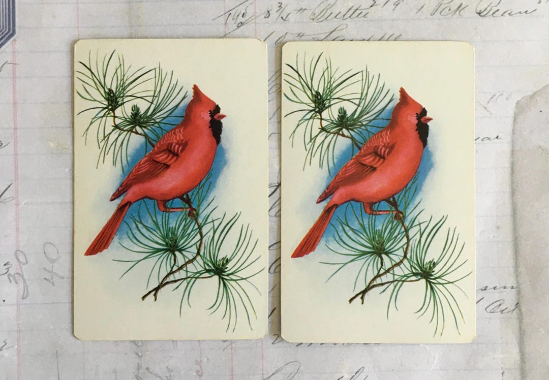 Cardinal Cards / 2 Vintage Red Cardinal Playing Cards Great for ...