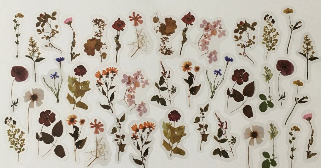 Floral Stickers / 40 Die Cut Stickers / Vinyl FLOWER Stickers -- Great ...