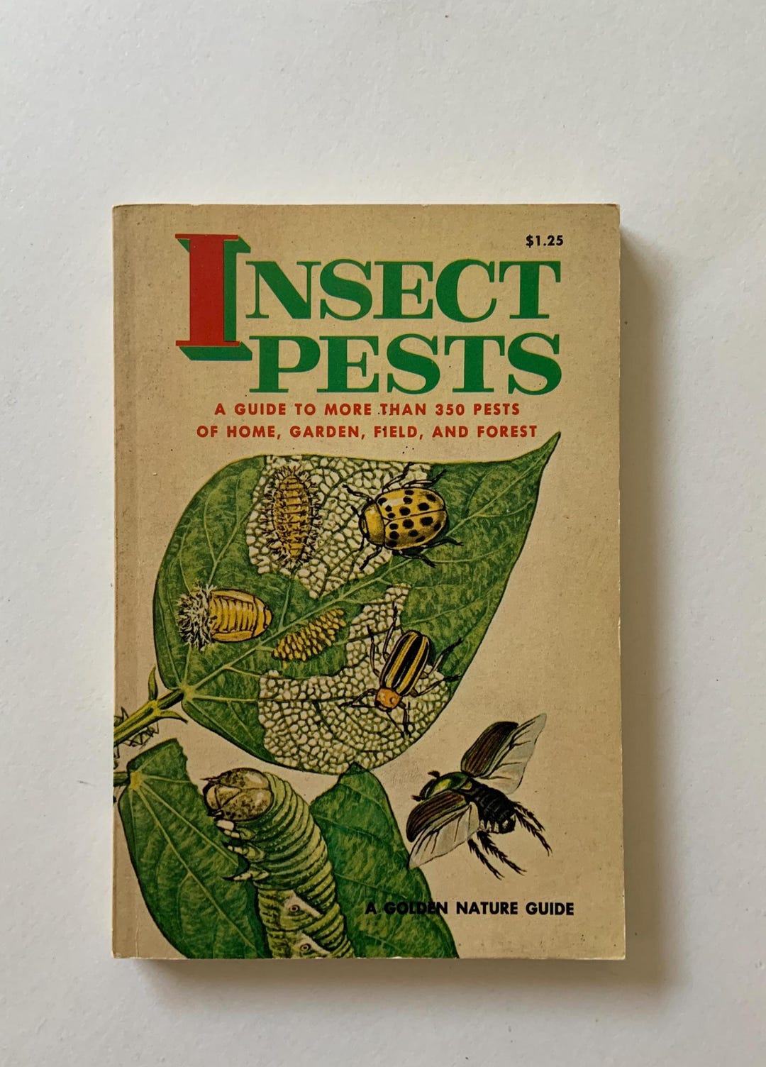 INSECTS Book / Vintage Golden NATURE Guide Insect Pests #24016 Full ...
