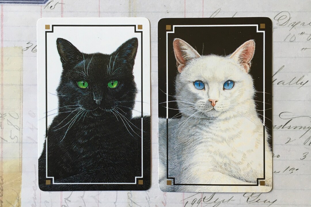 Cat Swap Cards / 2 Vintage Catblack & White Playing Cards Great for ...