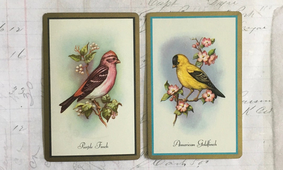 Bird CARDS / 2 Vintage Bird Cards Purple Finch & American Goldfinch ...