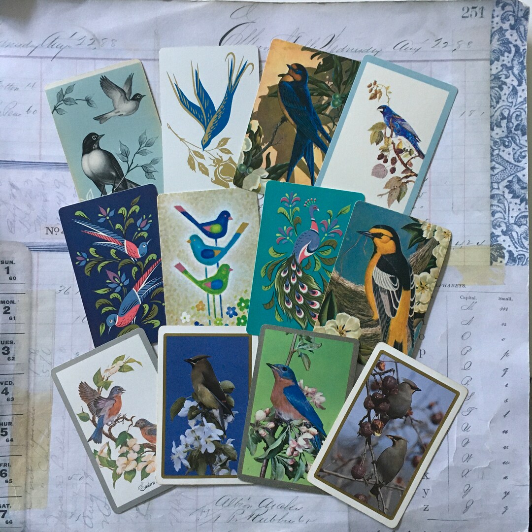 Bird Cards / 12 Vintage BIRD Playing Cards Assorted Neutral - Etsy