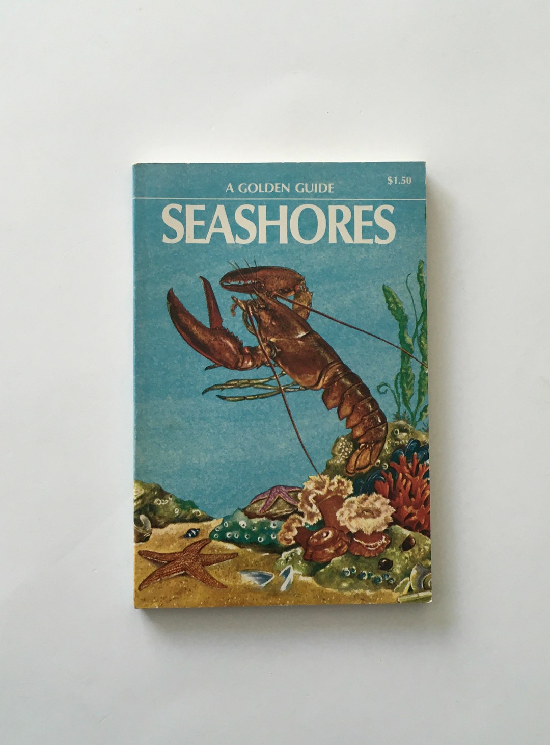 SEASHORES Book / Vintage Golden Guide SEASHORES Guide to Shells, Sea ...