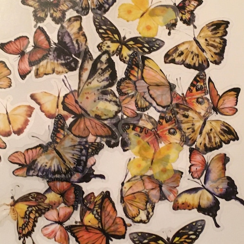 BUTTERFLY Stickers / 40 Die Cut Stickers / Vinyl BUTTERFLY - Etsy
