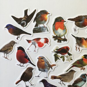BIRD Stickers / 40 Bird Stickers Scrap Pieces Great for Altered Art ...