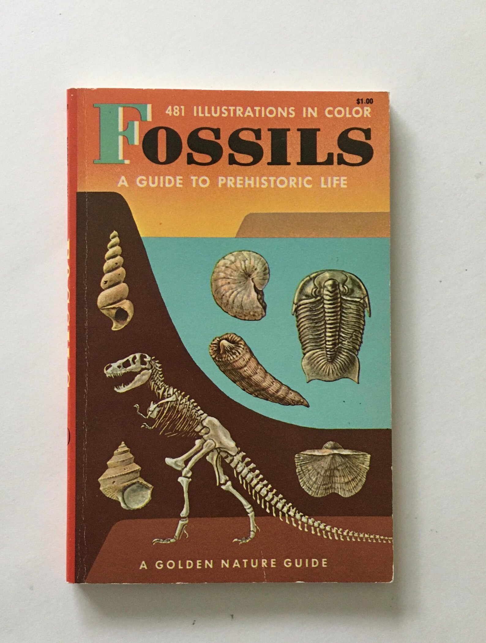 FOSSILS Book / Vintage Golden Guide FOSSILS #24411 Softcover W/full ...