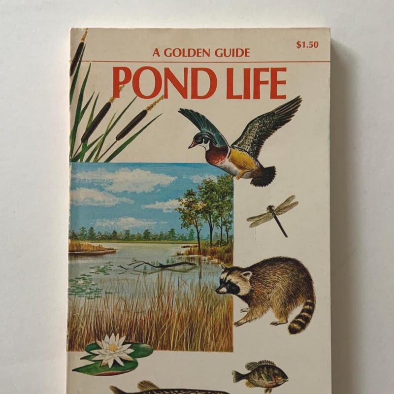 Golden Press Books - Etsy