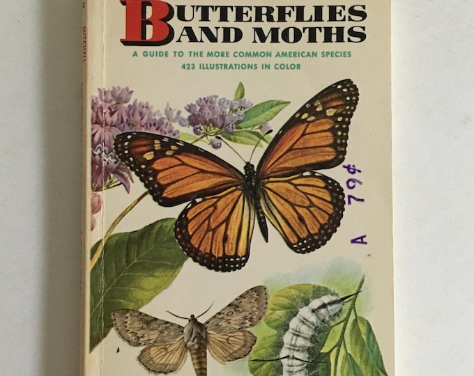 Butterfly Book / Vintage Golden Guide Butterflies and Moths #24413 W ...