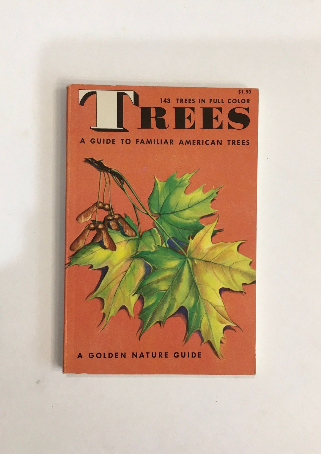TREES Book / Vintage Golden Guide TREES in Full Color Illustrations ...