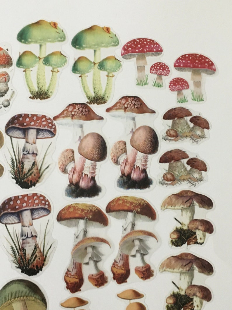 MUSHROOM Stickers / 40 Mushroom Die Cut Stickers Vinyl - Etsy