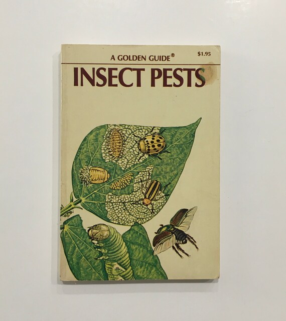 INSECTS Book / Vintage Golden NATURE Guide Insect Pests 24016 | Etsy