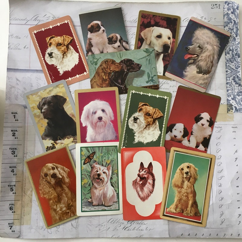 Dog Cards - Etsy