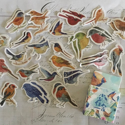 BIRD Stickers / 40 Bird Stickers Scrap Pieces Great for - Etsy