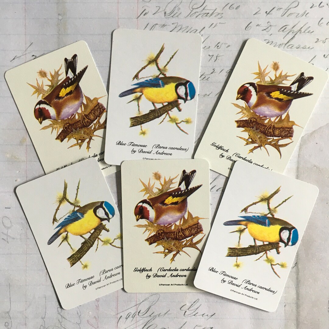 Bird Cards / 6 Vintage Bird Playing Cards Goldfinch Mini Size Great for ...